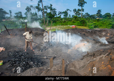 Coal production out of wood, Libongo, deep in the jungle of Cameroon ...