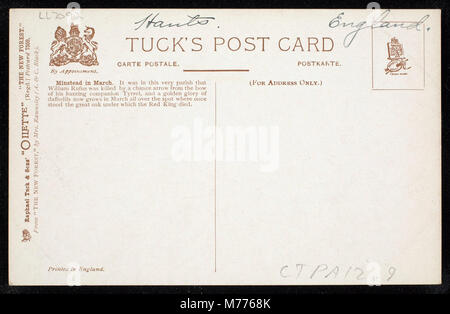 The New Forest.- Minstead in March Stock Photo - Alamy