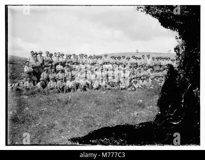 A photograph showing the Battery of the 53rd Division during World War ...