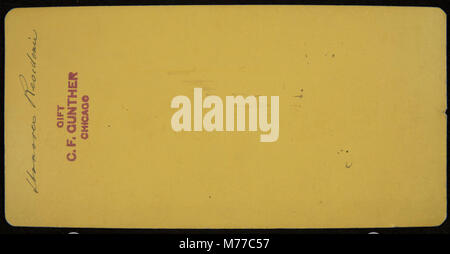 A series of views depicting Chicago and its surroundings before and ...