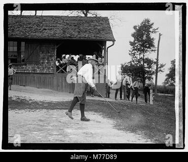 This portrait shows Warren G. Harding, the 29th President of the United ...
