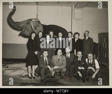 A promotional image for the book 'The Elegant Elephant', published in ...