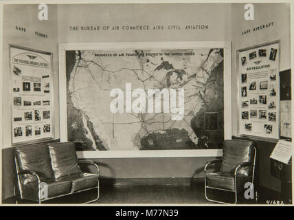 This image showcases a custom-made map from a cartographic publisher ...