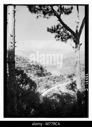 A scenic view of Chouer Valley, showing the descent from Dhour-es ...