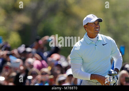 March 9, 2018 - Tarpon Springs, Florida, U.S. - JIM DAMASKE | Times ...
