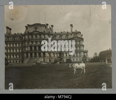 In this image provided by the White House, Defense Secretary Pete ...