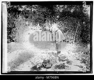 A portrait of Betty Baker, a notable figure captured in a formal ...