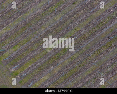 An aerial view of the Kent village of Eccles and surrounding ...