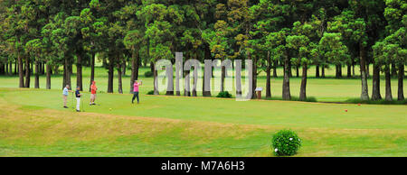 Golf course. Terceira island, Azores. Portugal Stock Photo - Alamy