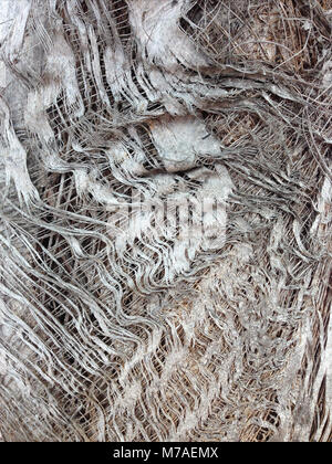 Shredded tree bark texture background Stock Photo - Alamy