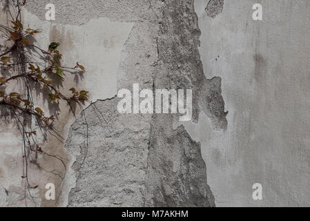 Crumbling plaster on the old wall Stock Photo - Alamy
