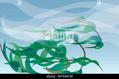 Plants blowing in the wind Stock Photo - Alamy