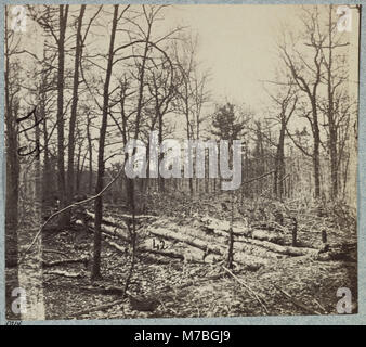 This photograph depicts Confederate entrenchments near the junction of ...