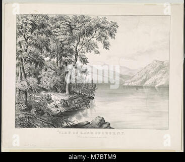 This 19th-century lithograph depicts a view from the Bergues in Geneva ...