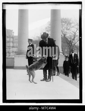 A photograph depicting President Warren G. Harding in a formal setting ...
