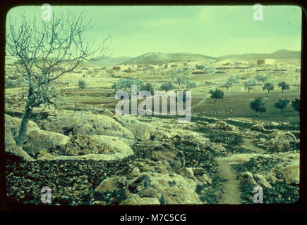 Jaffa to Jerusalem. Lower Beth Horon. Joshua 163. 1950, West Bank ...