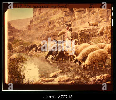 A series of thirteen slides depicting shepherd life, with imagery ...