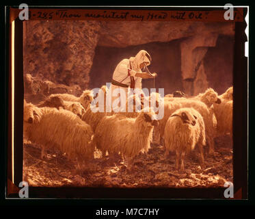 A set of thirteen slides depicting scenes of shepherd life inspired by ...