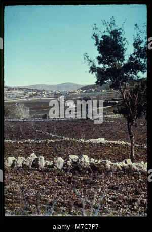 A map depicting Southern Palestine, including the regions of Hebron ...