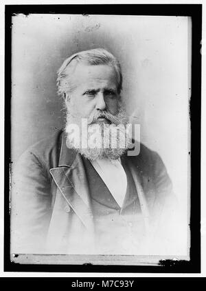 This portrait of Don Pedro II of Brazil depicts the Emperor in regal ...