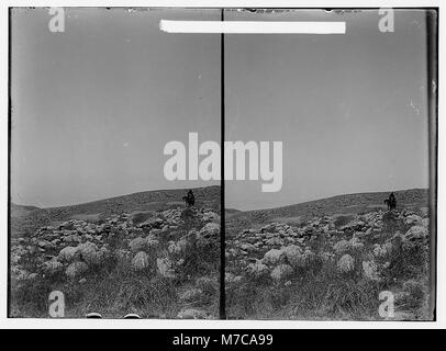 This image shows the ruins of Machaerus, located east of the Dead Sea ...