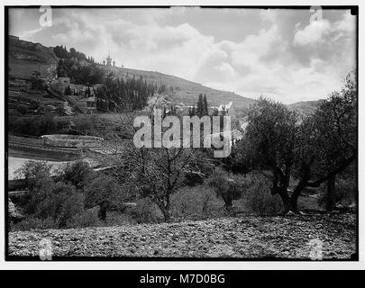 The Garden of Gethsemane, located at the foot of the Mount of Olives in ...