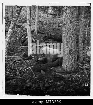 American Civil War: The slaughter pen at Gettysburg, dead soldiers in ...