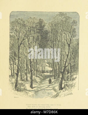 This illustrated edition of the works of Robert Burns features ...