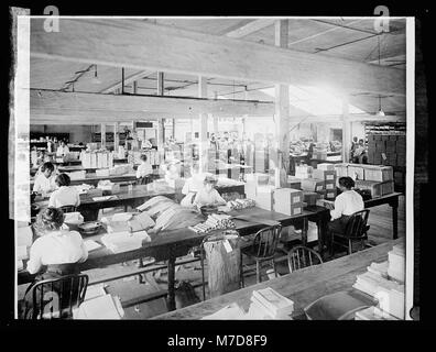 A photograph showing the interior of the Government Printing Office in ...