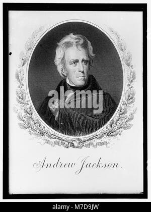 This portrait depicts Andrew Jackson, the 7th President of the United ...