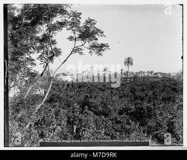 A view of Jaffa (also known as Joppa), an ancient port city in Israel ...