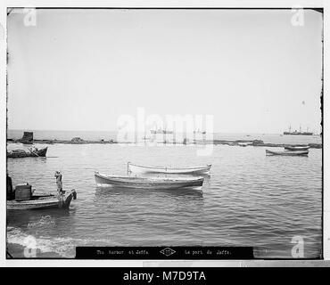 This photograph captures the coastal city of Jaffa (modern-day Joppa ...