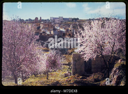 A view of the Mount of Olives and Bethany in Jerusalem, photographed ...
