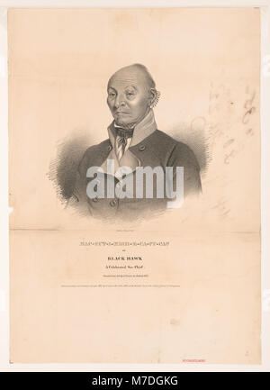 The image of Black Hawk, a prominent leader of the Dakota Sioux, from ...