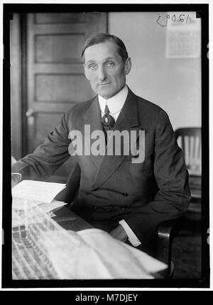 This image features William Gibbs McAdoo, the U.S. Secretary of the ...