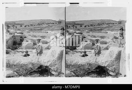 Mount of Olives, Bethphage and Bethany Bethany village, showing Church ...