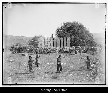 Northern views Ruins of Shiloh (Seilun). 1898, West Bank, Shiloh ...