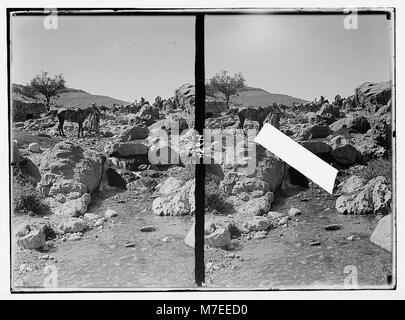 Ain Musa the Spring of Moses Petra Jordan Where moses got water from ...