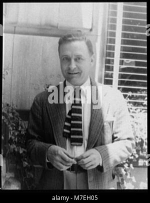 F. Scott Fitzgerald was an American novelist and short story writer ...