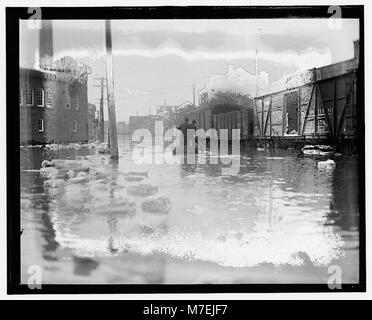 Photograph showing the Potomac River flood and ice conditions near ...