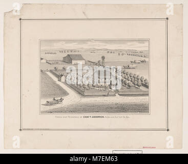 The ranch and residence of Chas. T. Goodrich in Nicholas, Sutter County ...