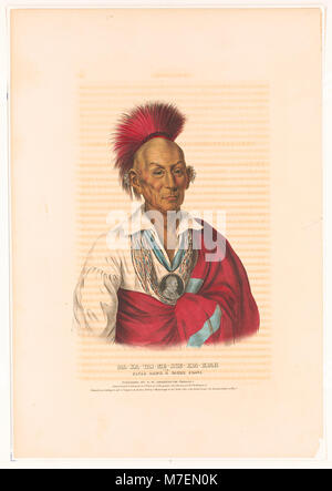 Black Hawk was a leader of the Sauk tribe in the early 19th century. He ...