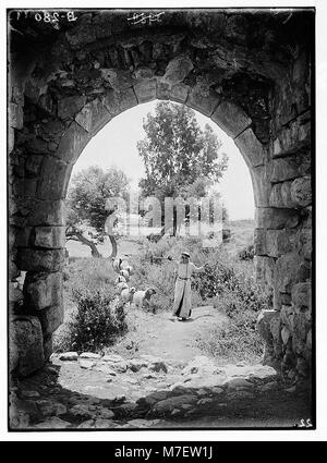 A set of slides illustrating shepherd life, depicting scenes from the ...