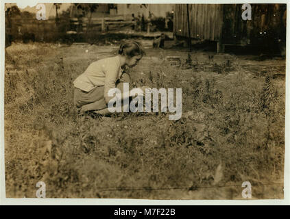 A 16-year-old girl tending to chicks at the home of William Olliges, a ...