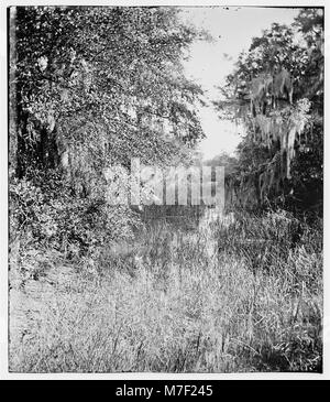 A historical map or photograph depicting Southern Palestine, including ...