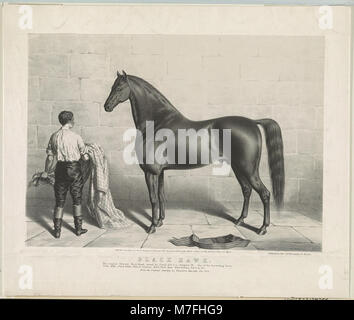 This image depicts Black Hawk, a prominent figure of the Sac & Fox ...