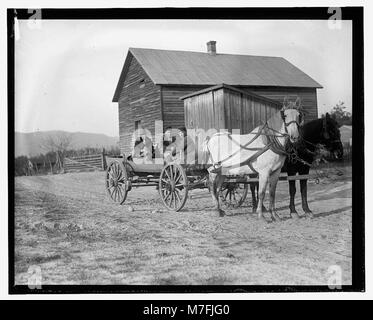 This photograph shows a horse-drawn wagon during the early settlement ...