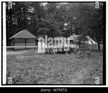 A historical photograph of a tuberculosis camp in Illinois, showcasing ...