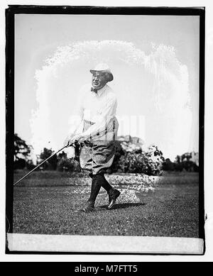 This image shows Warren G. Harding, the 29th president of the United ...