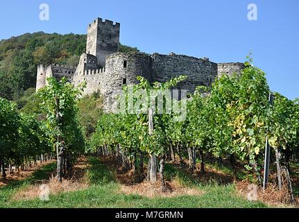 ruins castle, village Spitz, Austria,Europe Stock Photo - Alamy